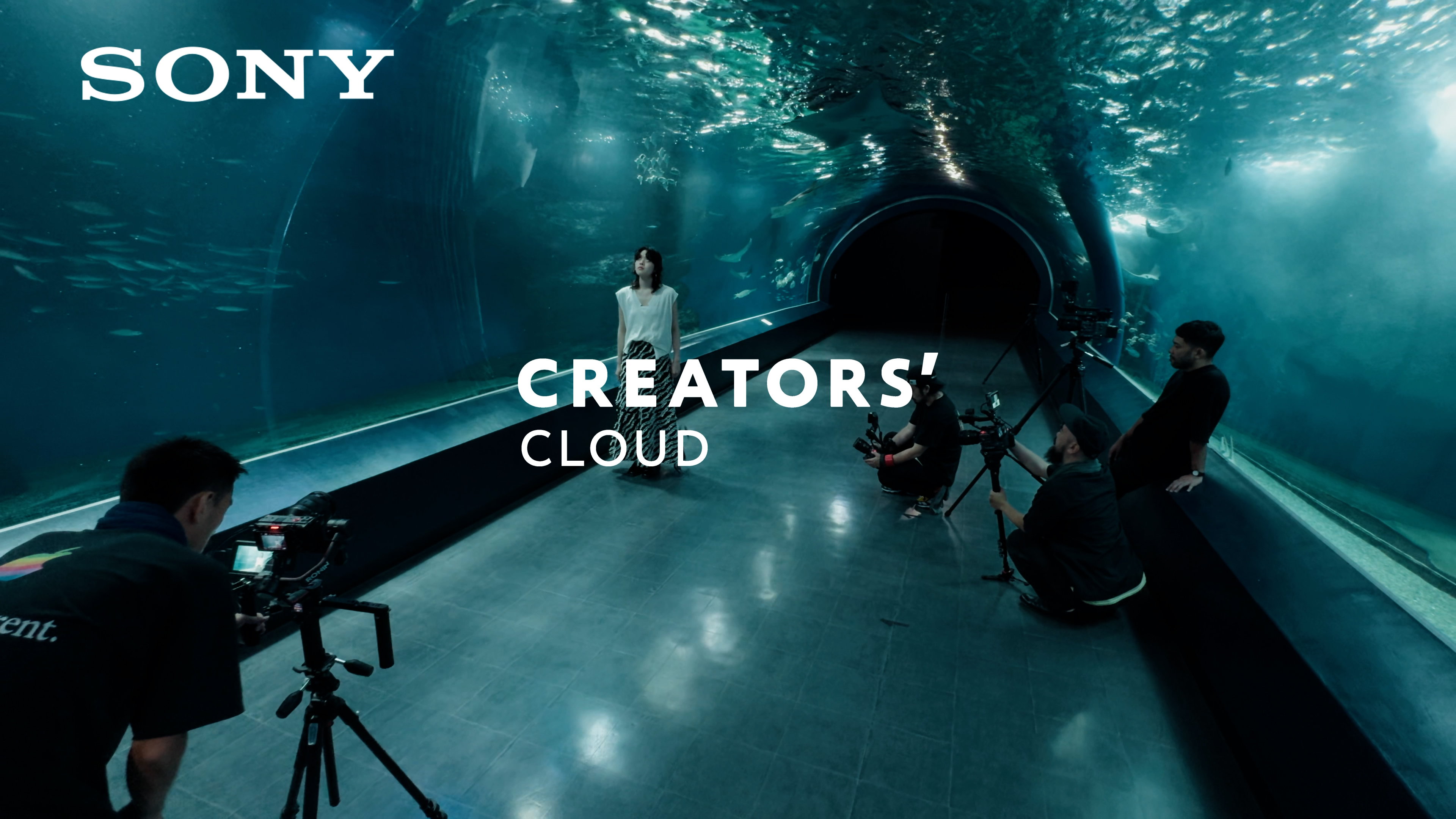 【ソニー公式】Creators' Cloud:Monitor ＆ Control サービス紹介映像｜実績紹介｜株式会社リーボ（福岡/東京）｜動画制作・映像制作・インスタグラム運用