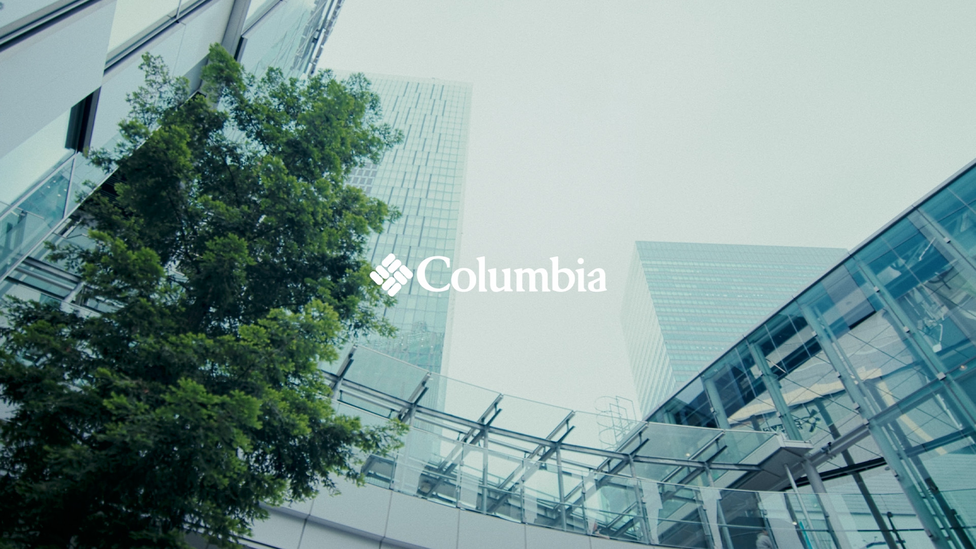 Columbia TYGER BROOK Collection PR MOVIE｜実績紹介｜株式会社リーボ（福岡/東京）｜動画制作・映像制作 ...